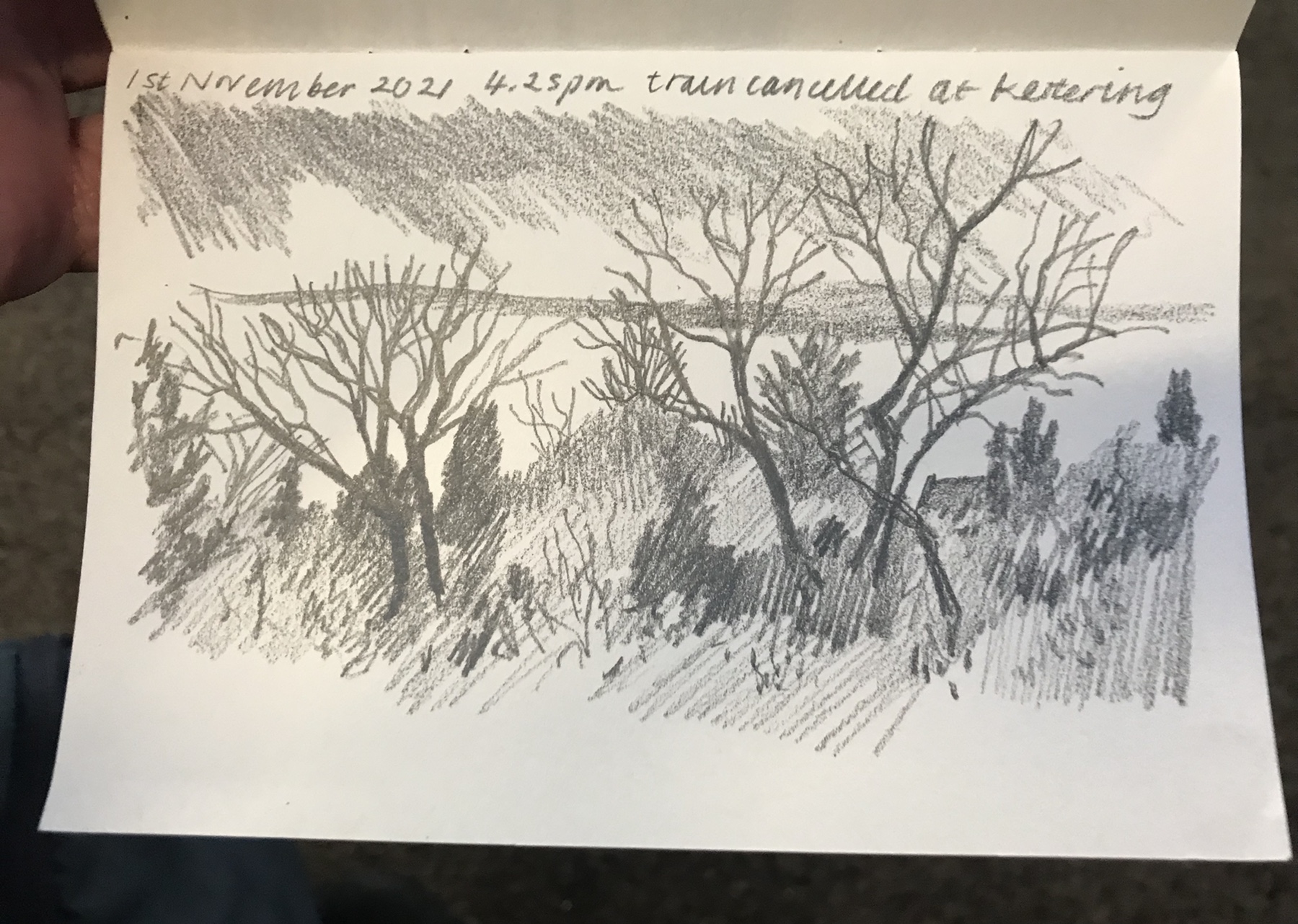 1st November 2021 | Jean a drawing a day