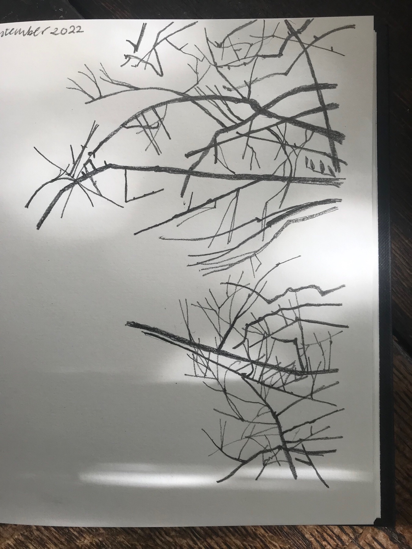 4th September 2022 | Jean a drawing a day