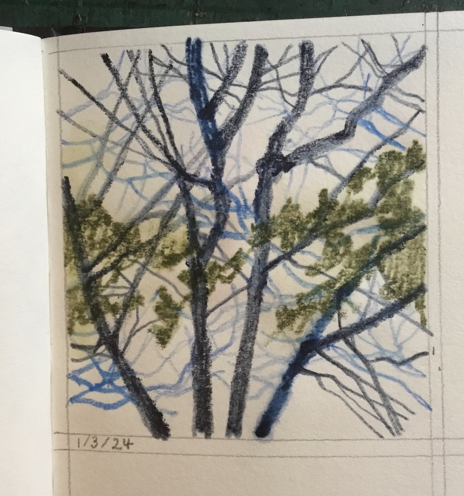 1st March 2024 | Jean a drawing a day