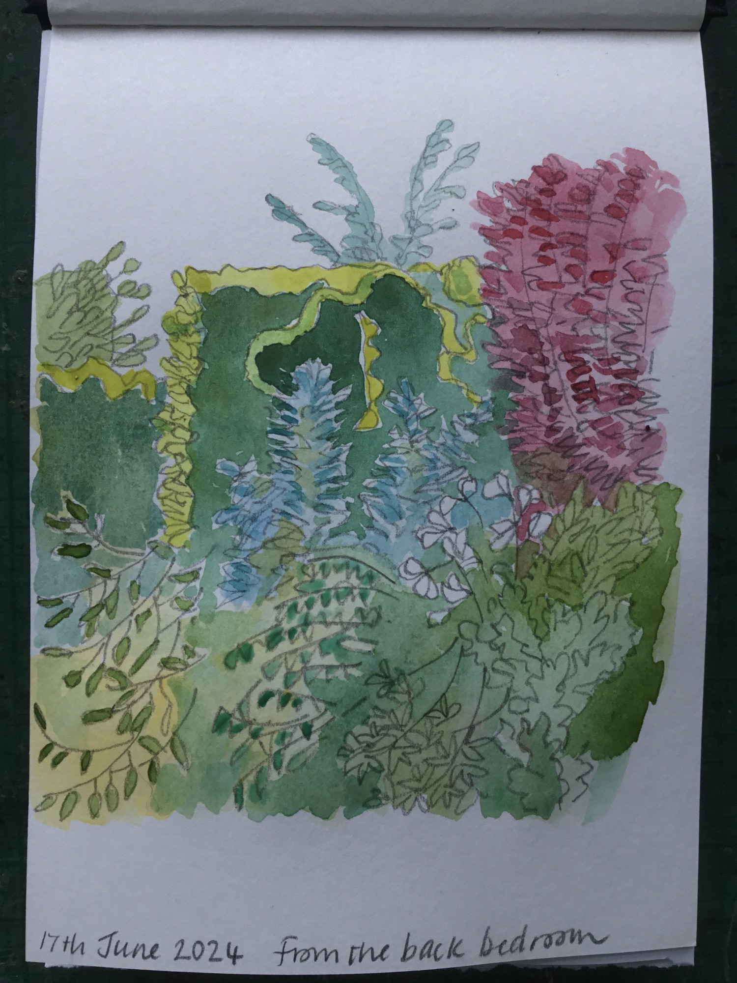 17th June 2024 | Jean a drawing a day