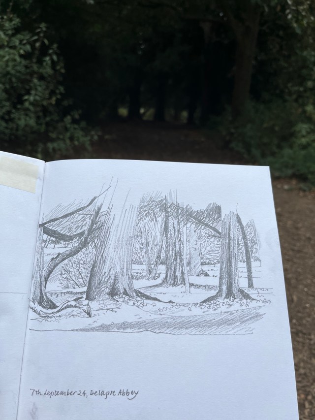 7th September 2024 | Jean a drawing a day