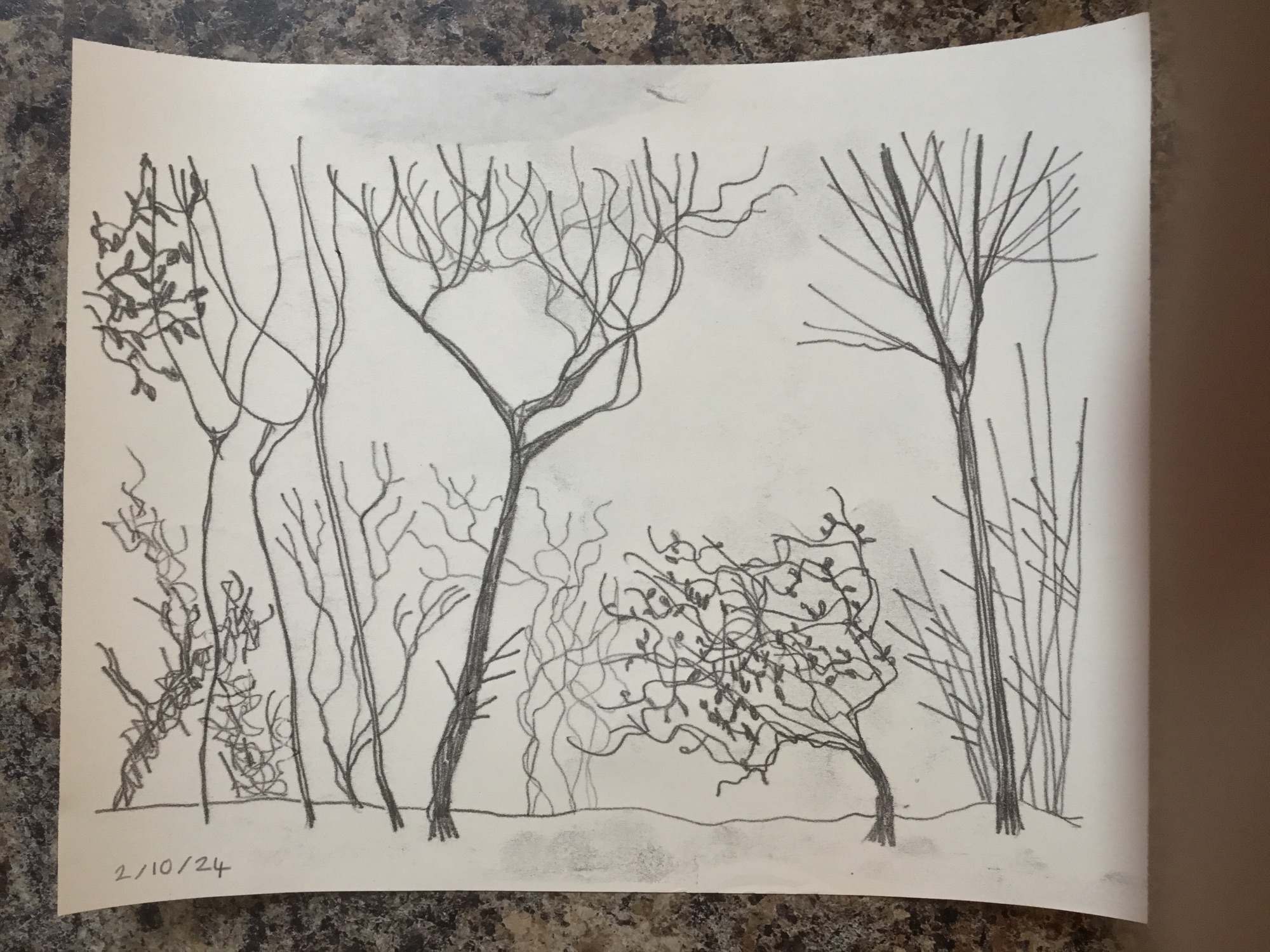 2nd October 2024 | Jean a drawing a day