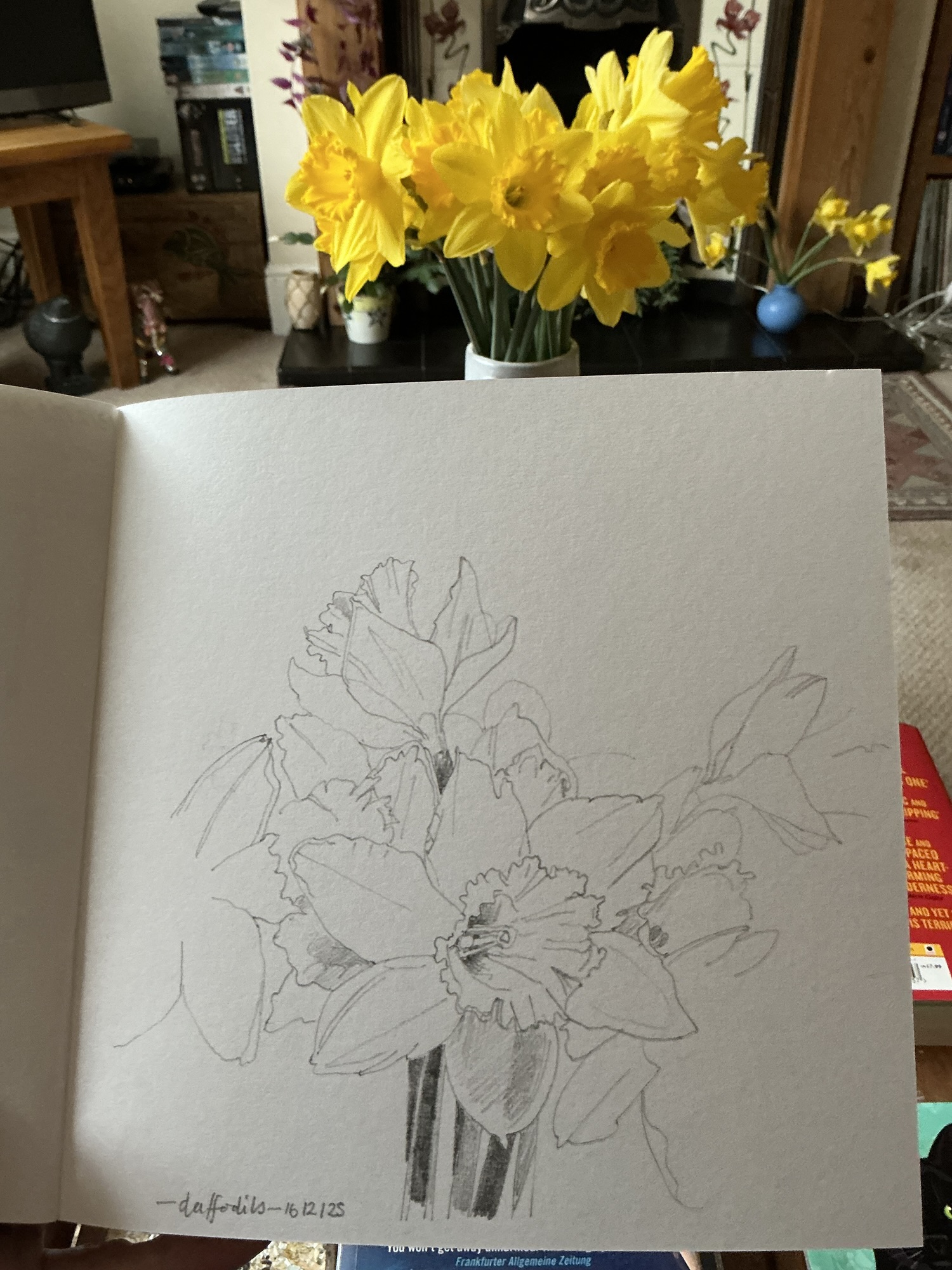 16th February 2025 | Jean a drawing a day